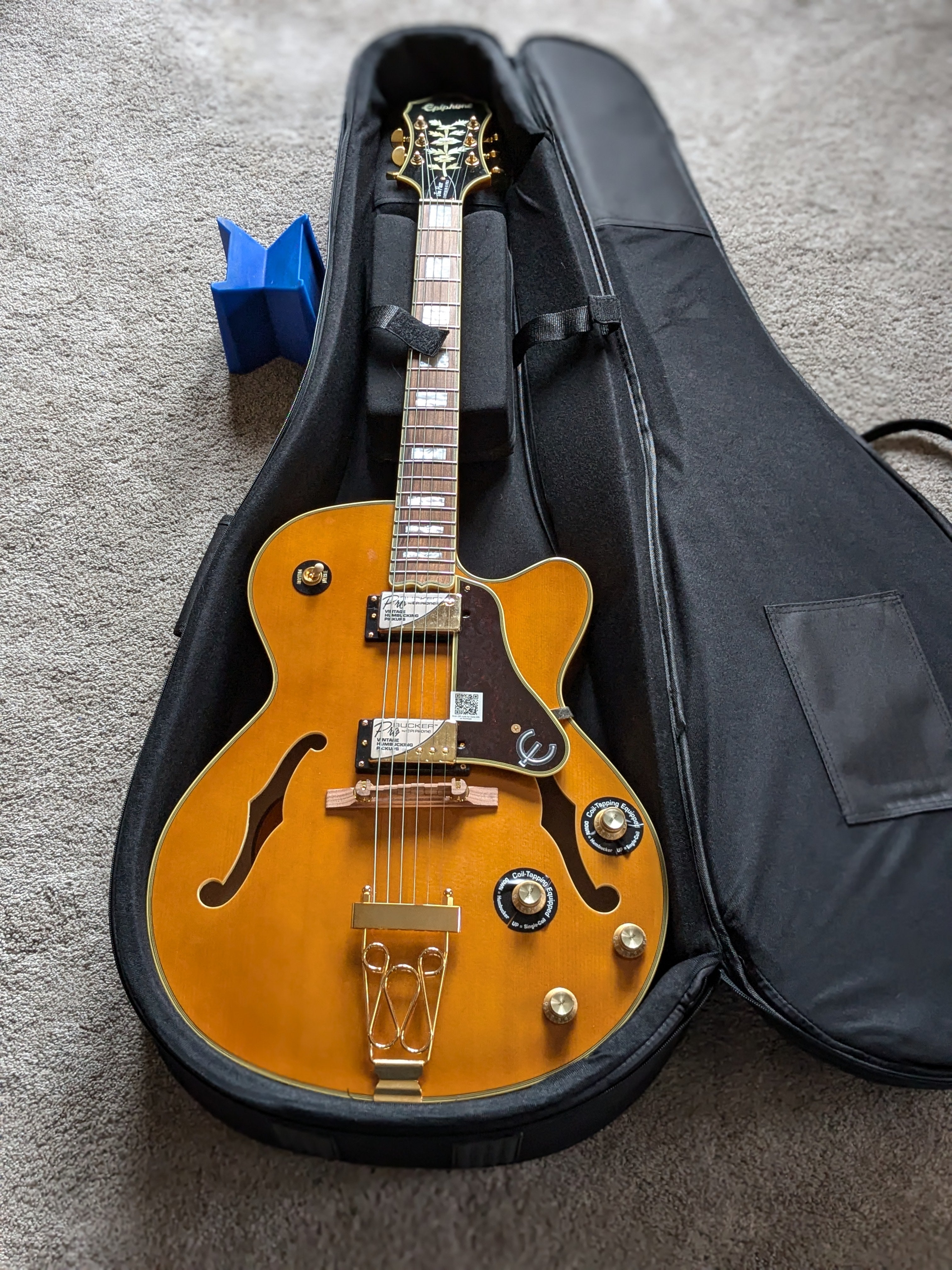 epiphone Joe Passモデル ギター